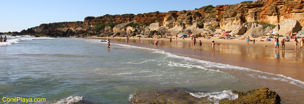 Calas de Conil, Calas de Roche.